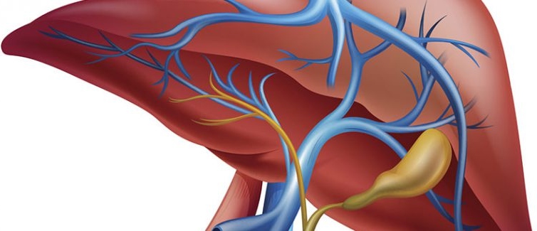 Perfil hepático - Laboratorio Análisis Clínicos - Citolab